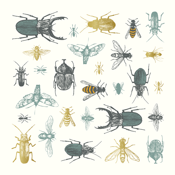 Insects – Portico Designs